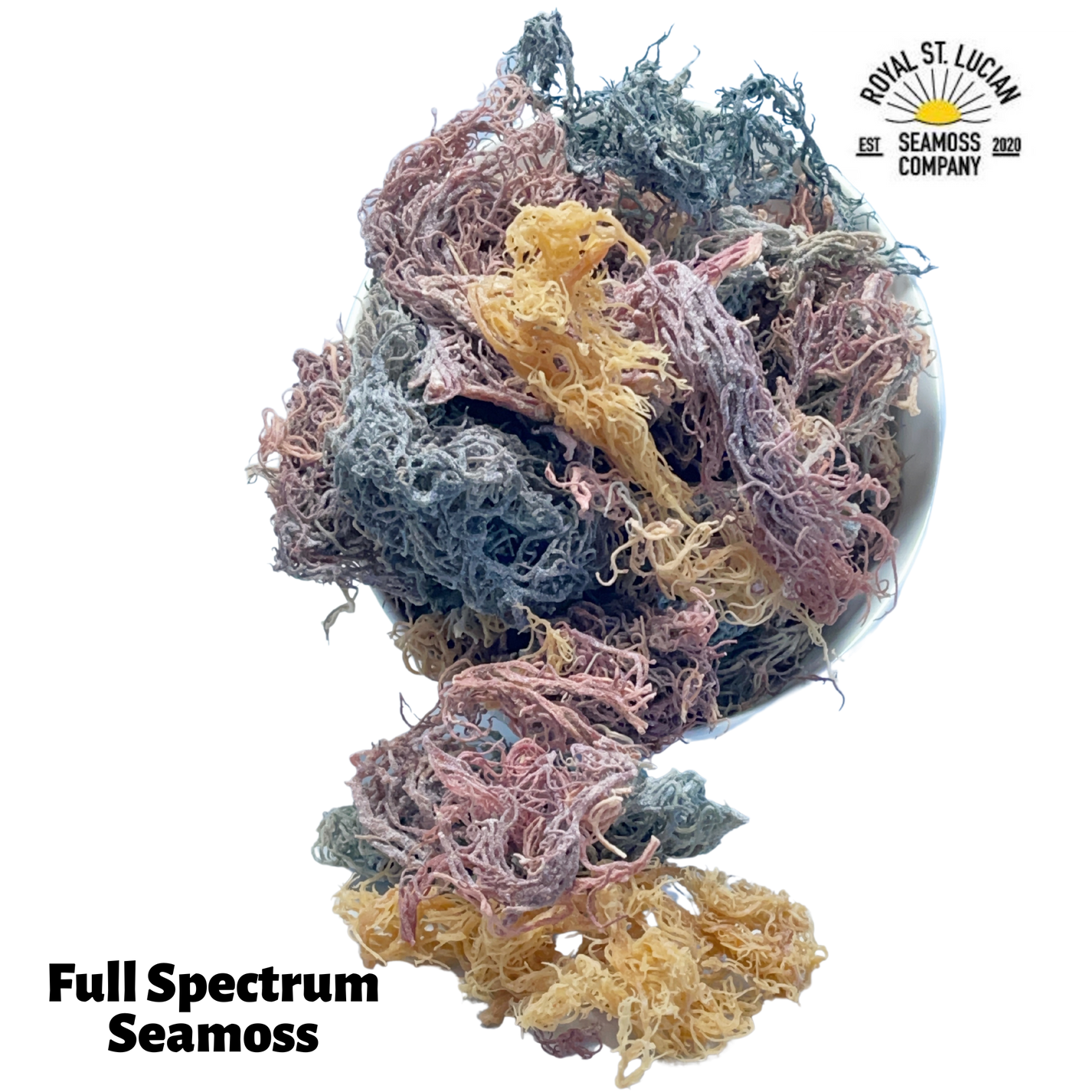 Buy Full Spectrum Seamoss Wholesale - St.Lucian Seamoss – St.Lucian ...